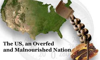 Over-fed but undernourished nation. The obesity epidemic and the so ...